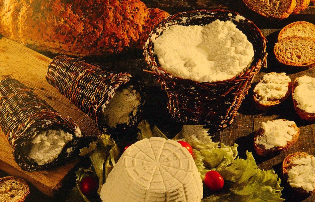 Good news: la ricotta di bufala campana è dop come la mozzarella ...