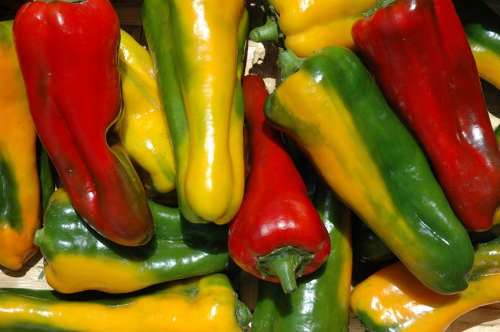 Torzella e Peperone Cazzone: le meraviglie dell'orto napoletano ...