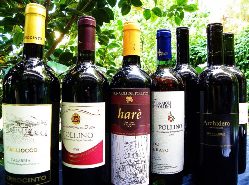 Magliocco dolce e magliocco canino. Report di sette aziende del Pollino ...