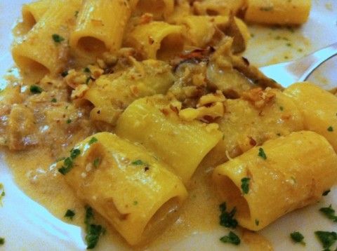 Mezze maniche con pesto di mammarelle e noci. E' la ricetta del ...