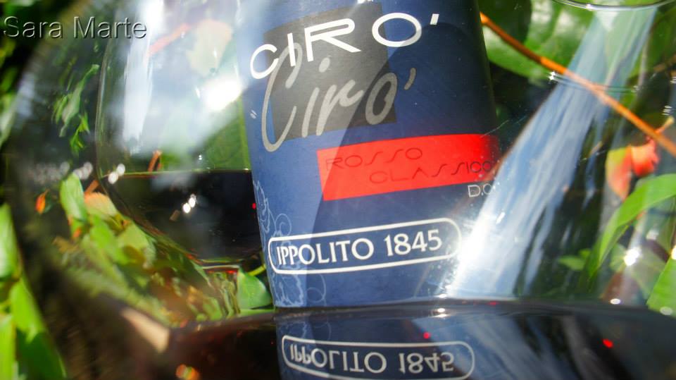 Cirò Rosso Classico 2010 doc, Ippolito 1845 - Luciano Pignataro Wine Blog
