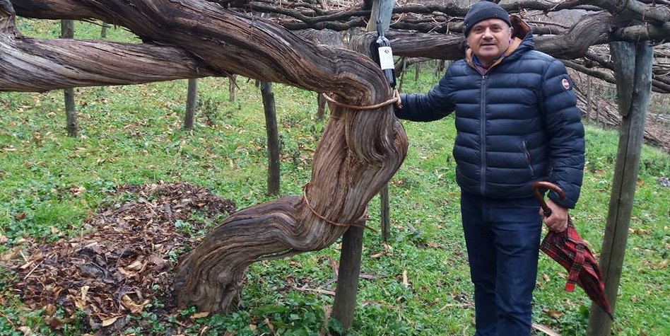 Per Eva che vino!!!!! Verticale con il bianco di Tenuta San Francesco ...