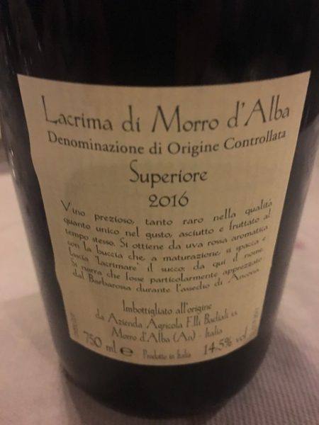Le Marche e la Lacrima di Morro D’Alba - Luciano Pignataro Wine Blog