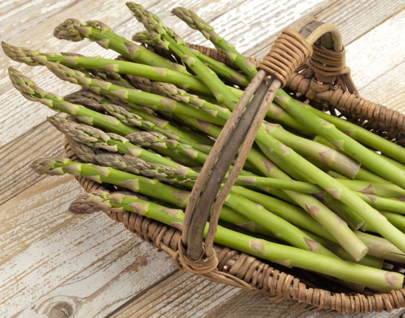 ricette con gli asparagi - Luciano Pignataro Wine Blog