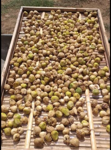 I fichi secchi di donna Ines - Luciano Pignataro Wine Blog