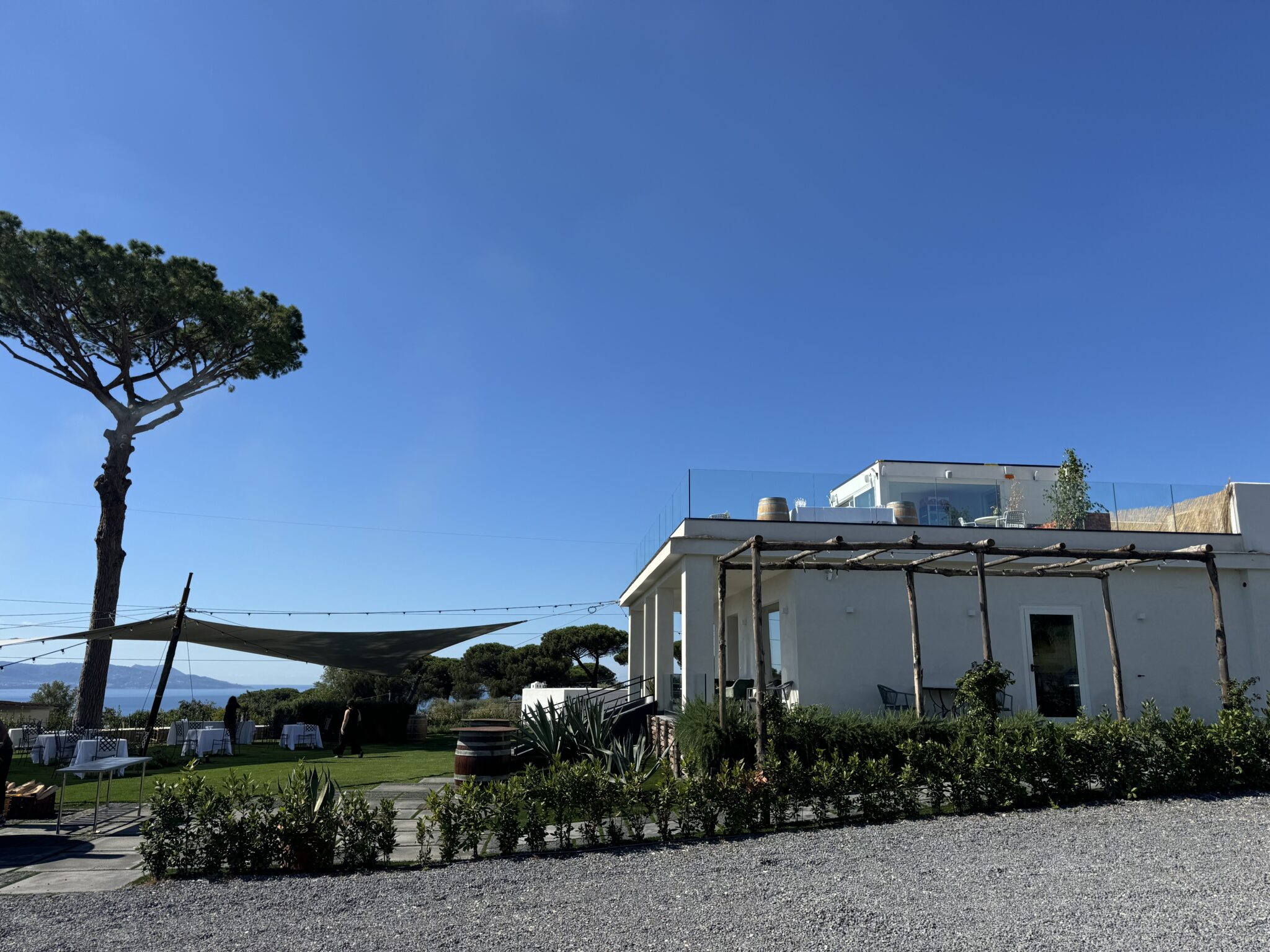 Vigna delle Rose di Casa Setaro: Un Viaggio nel Turismo del Vino ai ...
