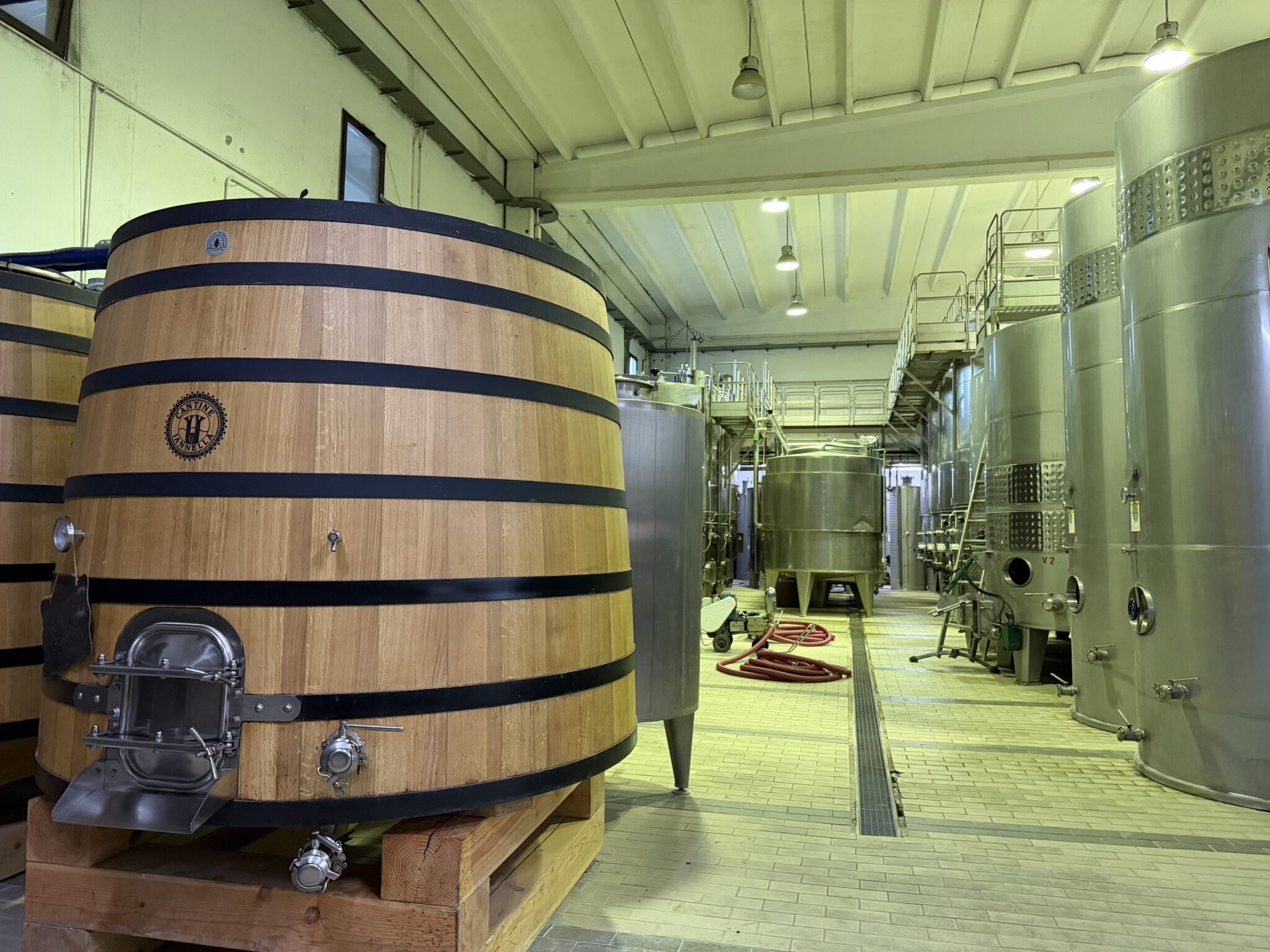 Intus Falanghina Beneventano 2022 Cantina Iannella 1920 - Luciano Pignataro Wine Blog