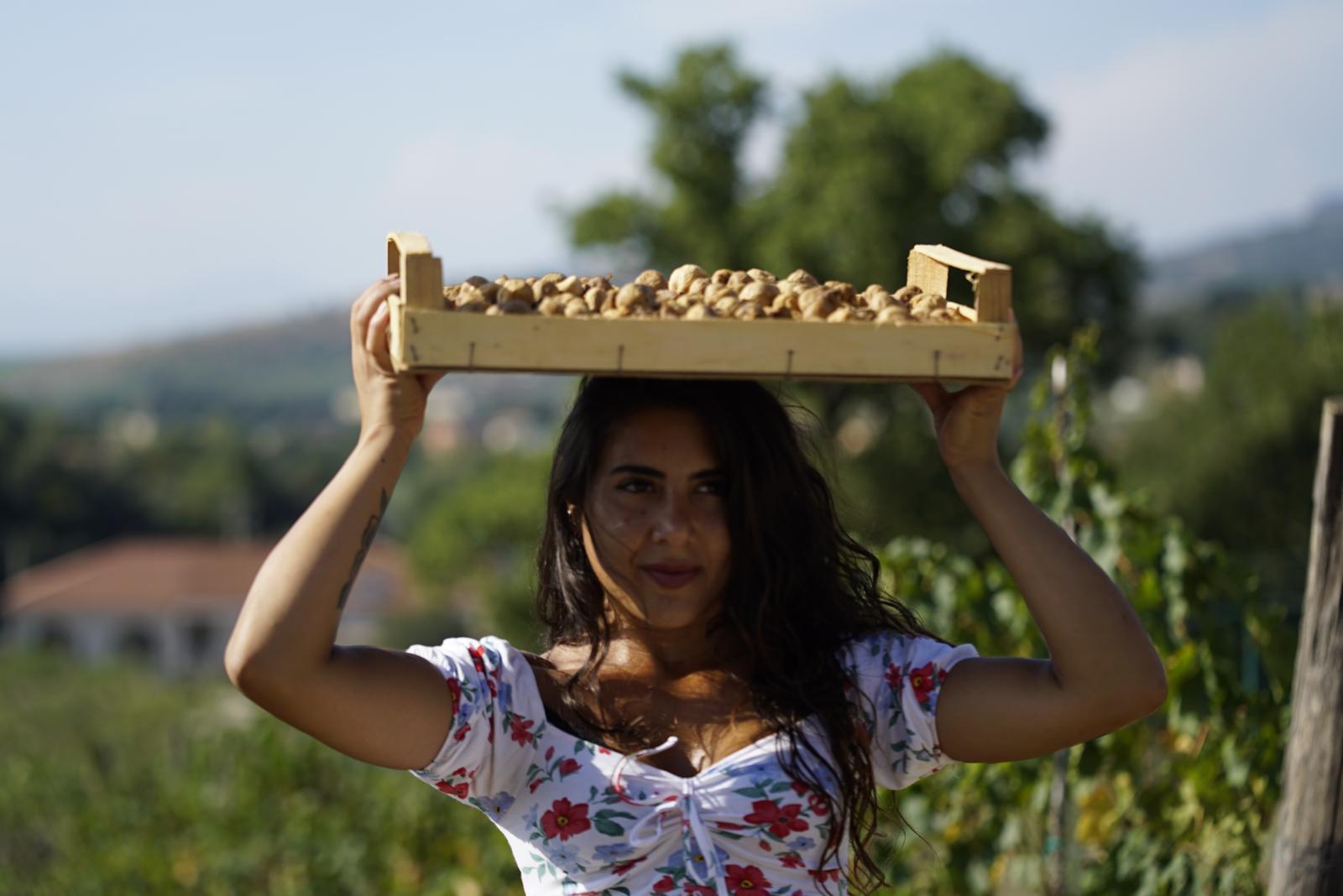 Verde Cilentano a Cicerale. Il Fico Bianco di Federica Affinita